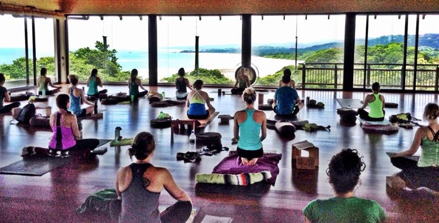 Laura Hand | Yoga Alliance | Yoga Teacher